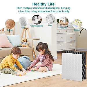 116130 Replacement Filter, 5500-2 Air Puri-fier Replacement Filter Compatible with winix 5500-2, AM80 Air Puri-fier, 2 Pack Filters and Activated Carbon Pre-Filters.