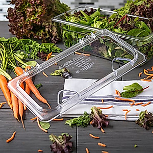 Carlisle FoodService Products 10279Z07 EZ Access Hinged Lid with Handle and Notch, Third Size, Clear