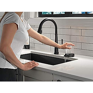Delta Faucet Metal Glass Rinser for Kitchen Sinks, Kitchen Sink Accessories, Bar Glass Rinser, Matte Black GR250-BL