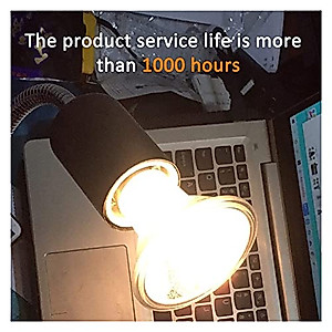 Dehydrator Pet Warmer Chicken Coop Heaters 3 Modes Adjustable Wattage Lighting Function Brooding Heating for Cats Dogs Poultry