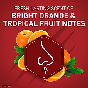 Old Spice Wild Collection Invisible Solid Antiperspirant Deodorant, Wolfthorn, 2.6 Ounce (Pack of 2)