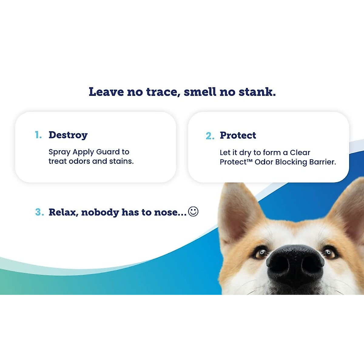 Apply Guard Professional Strength Pet Stain And Odor Eliminator for Dogs, Cats, and All Pets- Instantly Neutralize and Sanitize Tough Pet Odors and Pet Urine Stains 16oz. Cat Pee Odor Destroyer.