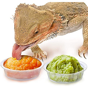 SunGrow Gecko Food and Water Containers, Reusable, Recyclable, Disposable Cups, 0.5 oz Capacity, Fits Various Reptile Feeder, 50 Pcs