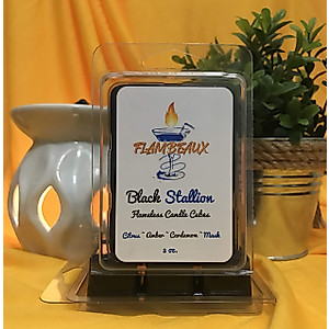 Flambeaux Black For Men | Black Stallion Wax Melts | Wax Cubes for Candle Warmer | Masculine Scent | Long Lasting