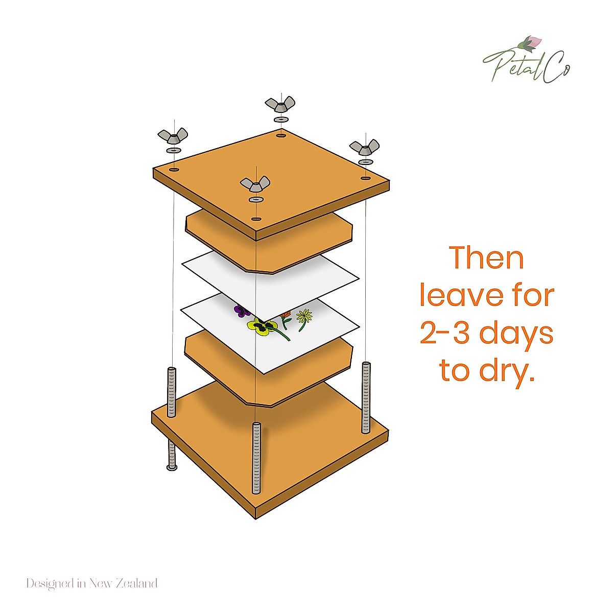 Petal Co Kid's Flower Press Kit & Leaf Press | Free EBook on Flower Pressing | Wooden Art Kit | Pressed Flower Art Kit | Gift for Kids | Flower Pressing Kit for Adults Too. Plant Press Kit.