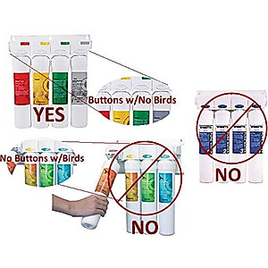 Watts Premier W-2R-2Y-1B-1G Ro Pure Replacement Filter Plus Membrane, 6-pack