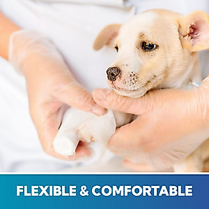 TURBA Clear Latex-Free Disposable Gloves – 100 Ct. Single-Use Powder-Free Vinyl Gloves – Non-Latex Gloves for Cleaning, Sanitary Gloves for Medical Examination, & Food-Safe Cooking Gloves, Small