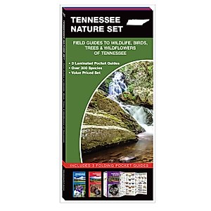 Tennessee Nature Set: Field Guides to Wildlife, Birds, Trees & Wildflowers of Tennessee (Nature Observation North America)