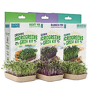 Back to the Roots DIY Microgreen Grow Kit, 6-Grow Variety Pack