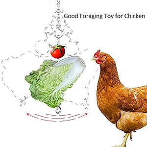Chicken Vegetable Hanging Feeder Toy for Hens Pet Chicken Veggies Skewer Fruit Holder for Hens Large Bird
