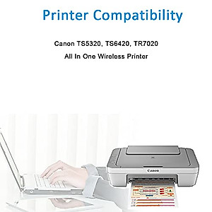 260XL 261XL Ink cartridges Replacement for Canon 260 261 Ink PG-260 XL CL-261 XL Ink catridges for Canon TS6420 TS5320 TR7020 Printer ( 1 Black, 1 Tri-Color, 2-Pack )