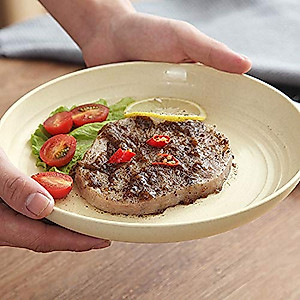 shopwithgreen Wheat Straw Reusable Dinner Plates, Camping Outdoor Plates Sets, for Kitchen, Dorm Room, Microwave Dishwasher Safe, Unbreakable and Lightweight, 8.8 Inch, 4 PCS