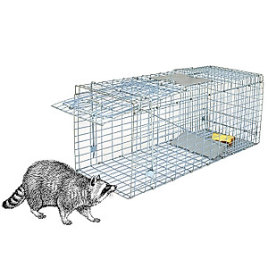 Oteymart Live Animal Trap Cage Catch Release Humane Rodent Cage with Handle Metal Steel for Rabbits, Stray Cat, Squirrel, Raccoon, Mole, Gopher, Chicken, Opossum (32" X 12" X 12")