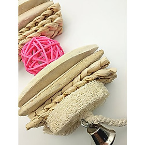 Hypeety Bird Parrot Cuttlebone Toy Bird Chew Toy Colorful Rattan Ball Toy Safe and Fun for African Grey, Amazon Conure Cockatoo Macaw Cockatiel