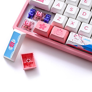 Akko 3068B Plus World Tour Tokyo R2 65% Percent 68-Key RGB Hot-swappable Mechanical Gaming Pink Keyboard, 2.4G Wireless/Bluetooth/Wired with PBT Dye-Sub Keycaps for Mac & Win Switch Jelly Pink