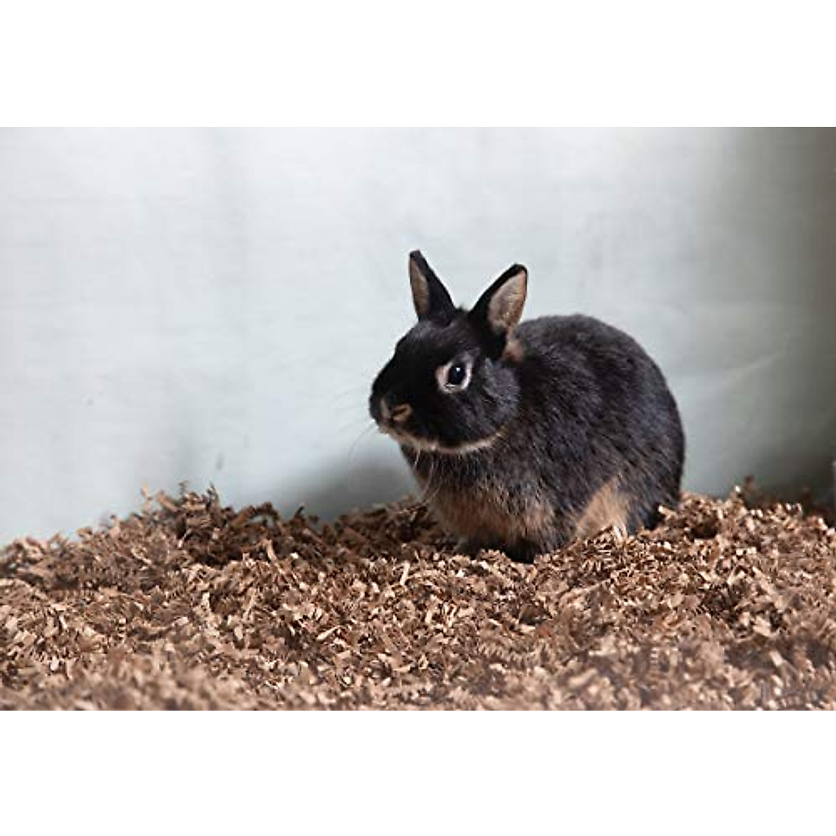 ECO BEDDING Fibercore for Small Pet, 3 lb, Brown