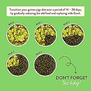 Burgess Excel Nuggets With Mint Guinea Pig Food 10kg