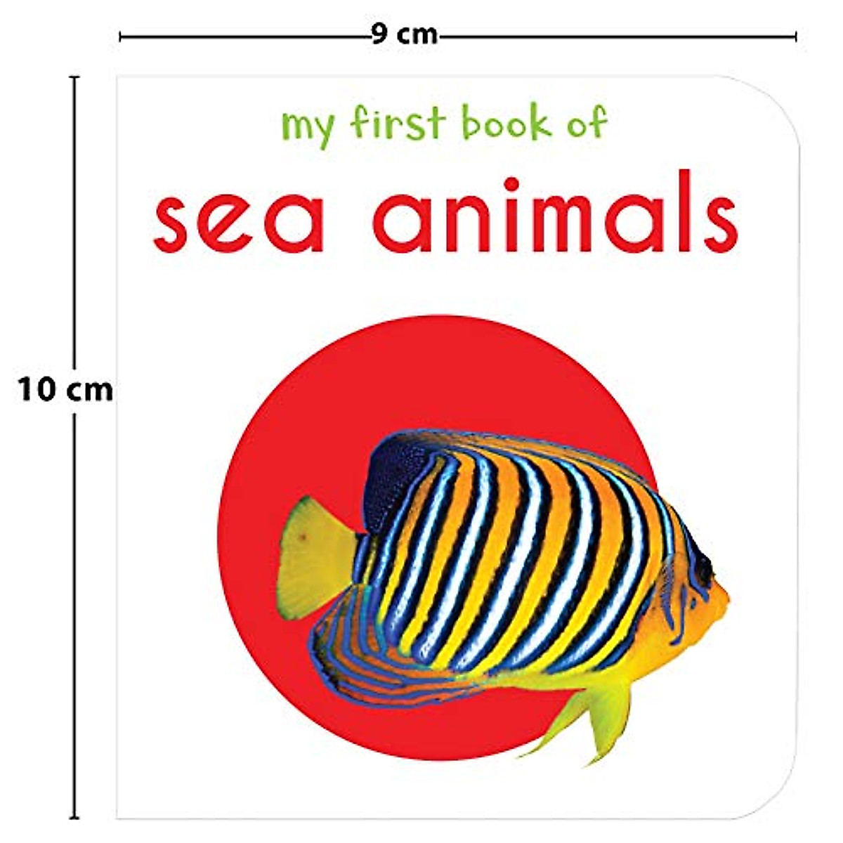 My First Library : Boxset of 10 Board Books for Kids