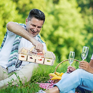 Divided Serving Tray with Handle, Lid & Removable Snack Box 8 Compartment Portable Snack Containers Snackle Box Snack Tray , Veggie Tray Charcuterie Boxes Fruit Tray Candy Organizer (1 PCS-4C)