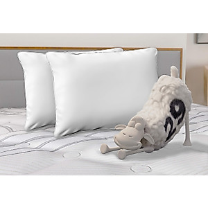 Serta Versafoam Memory Foam Bed Pillow, Standard (Pack of 2), White 2 Count