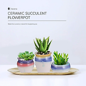 Cabilock 5pcs Ceramic Succulent Flower Pot Flower Vase Mini Garden Pot Container Decorative Flower Pot Small Flower Pot Resin Pot Succulent Flower Pots Succulent Pots Makeup Ceramics Rural