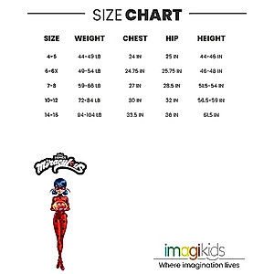 Miraculous Ladybug Cat Noir Rena Rouge Little Girls 2 Pack Ruffle T-Shirts Gray/Red 7-8