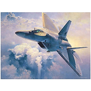 Hasegawa 1/48 F-22 Raptor USAF