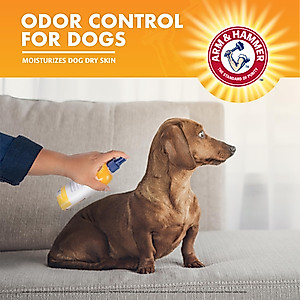 Arm & Hammer for Pets Super Deodorizing Spray for Dogs | Best Odor Eliminating Spray for All Dogs & Puppies | Fresh Kiwi Blossom Scent That Smells Great, 8 Ounces