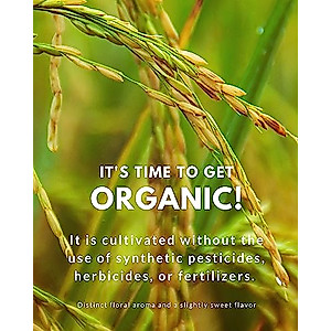 Organic Jasmine Brown Rice from Thailand - Thai Whole Grain Vegan Natural Healthy Superfood Gluten-free - 2 LB