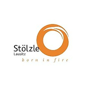 Stolzle Lausitz Feast It Forward Crystal 14.25 Ounce White Wine Glass, Set of 4