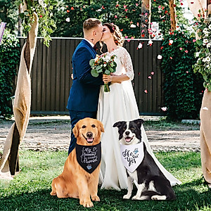 Engagement Gifts, My Humans are Getting Married She Said Yes Dog Bandana Samll, Engagement Party Decorations, Wedding Photo Prop, Pet Scarf Engagement Announcement, Bride Accessories(White Black)