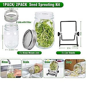 IUMÉ Seed Sprouting Jar Kit, 1- Pack Seed Starter Tray, 1 Sprouter Mason Jars with Screen Lids, Stands and Trays, Indoor Seed Sprouter Germinator, Broccoli Sprouts Germination Growing Kit