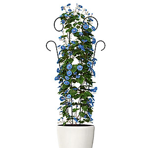 Thealyn 4 Pack 23'' Indoor Plant Trellis for Potted Plants Climbing, Outdoor Metal Garden Trellis Houseplants Flowers Vine Ivy, Wave Shape, Black