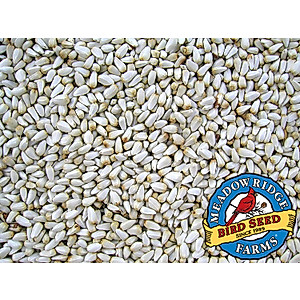 Meadow Ridge Farms Safflower Bird Seed, 20-Pound Bag