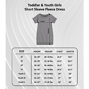 HYBRID APPAREL - Spongebob Squarepants - Patrick Sparkers Flag - Toddler & Youth Girls Fleece Dress - Size 2T Heather Grey