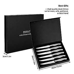 BECOKAY Steak Knives - Steak Knives Set of 6 High Carbon German Steel Serrated Steak Knife - 4.3 Inch Premium Steak Knife Set - Ergonomic Full Tang Hollow Handle (Silver)