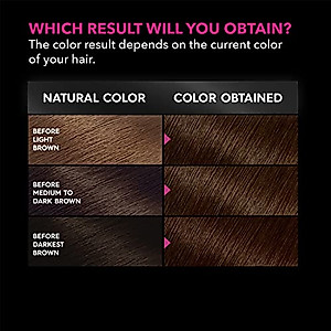 Garnier Hair Color Olia Ammonia-Free Brilliant Color Oil-Rich Permanent Hair Dye, 4.3 Dark Golden Brown, 1 Count (Packaging May Vary)