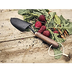 Barebones, Walnut Spade, Ergonomic Stainless Steel Blade