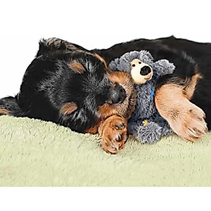 Kong Wild Knots Bears Durable Dog Toys Size:Small/Med Pack of 2 Small Breeds