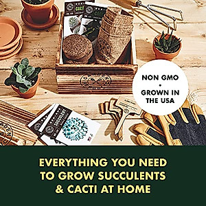 Cactus Succulent Seed Starter Kit - Indoor Garden Grow Kits, Seeds for Planting Mini Cactus Succulent Plants, Plant Markers, Soil, Pots, Wood Box - Gardening Gifts, Terrarium, Cacti Succulents Decor