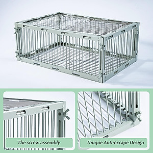 Bird Trap Cage with Escape-Proof,Bird Traps for Small Birds Live,Sparrow Trap,Portable,Easy Assembly and Unharmful.Made of Iron with Anti-Rust Paint A4