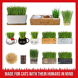 The Cat Ladies Hello Kitty Organic Cat Grass Growing kit with Organic Seed Mix, Soil and Hello Kitty Planter. Natural Hairball Control and Digestive Remedy,Cat Gifts