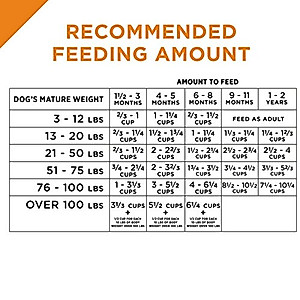 Purina Pro Plan High Protein Puppy Food Shredded Blend Chicken & Rice Formula - 18 lb. Bag