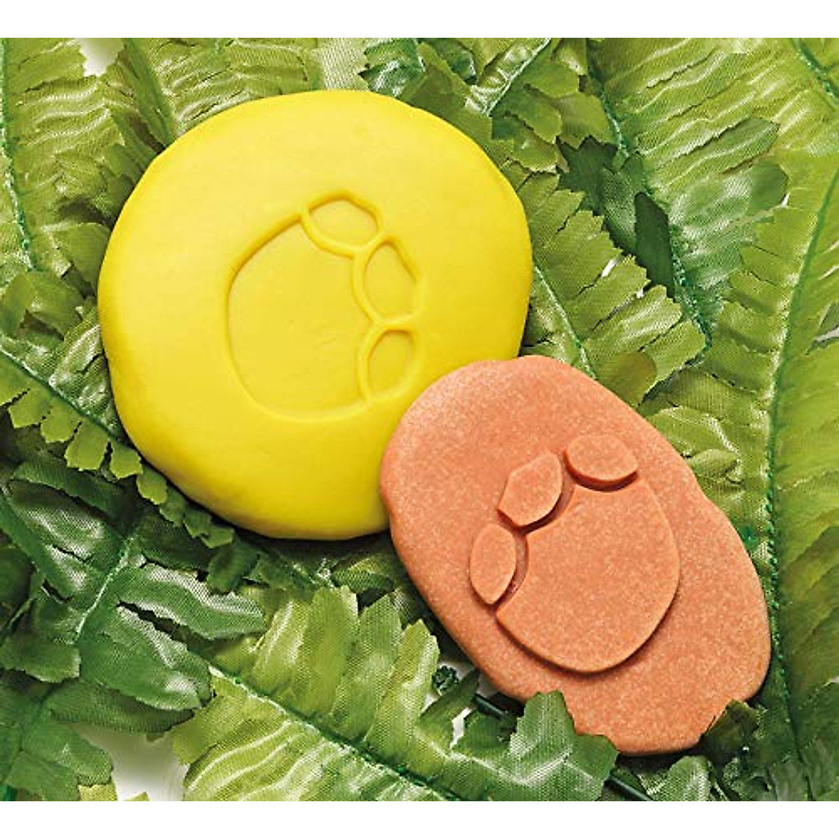 Yellow Door Let's Investigate Dinosaur Footprints