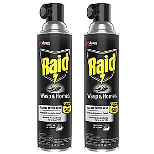 Raid Wasp and Hornet Killer (Pack - 2)