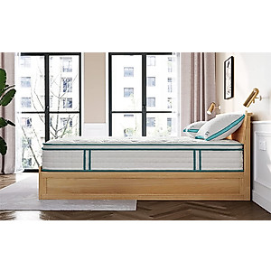 LINSY LIVING 12 Inches Queen Mattress, Hybrid Mattress Queen with Memory Foam and Individually Wrapped Pocket Coils, Firm Support, Motion Isolation, Made in USA