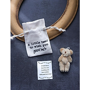 Good Luck Gift, Pocket Bear, Lucky Souvenir Gift, Miss You Gift, Gifts of Encouragement, Good Luck in Exams,Congratulations Graduation Gift.