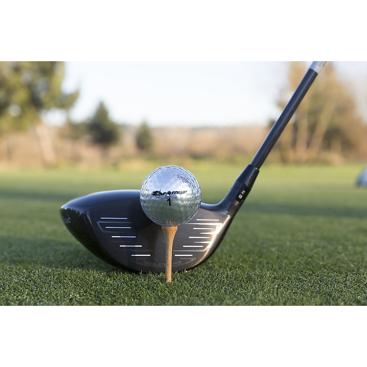 Chromax Metallic M5 Colored Golf Balls (Pack of 6), Silver