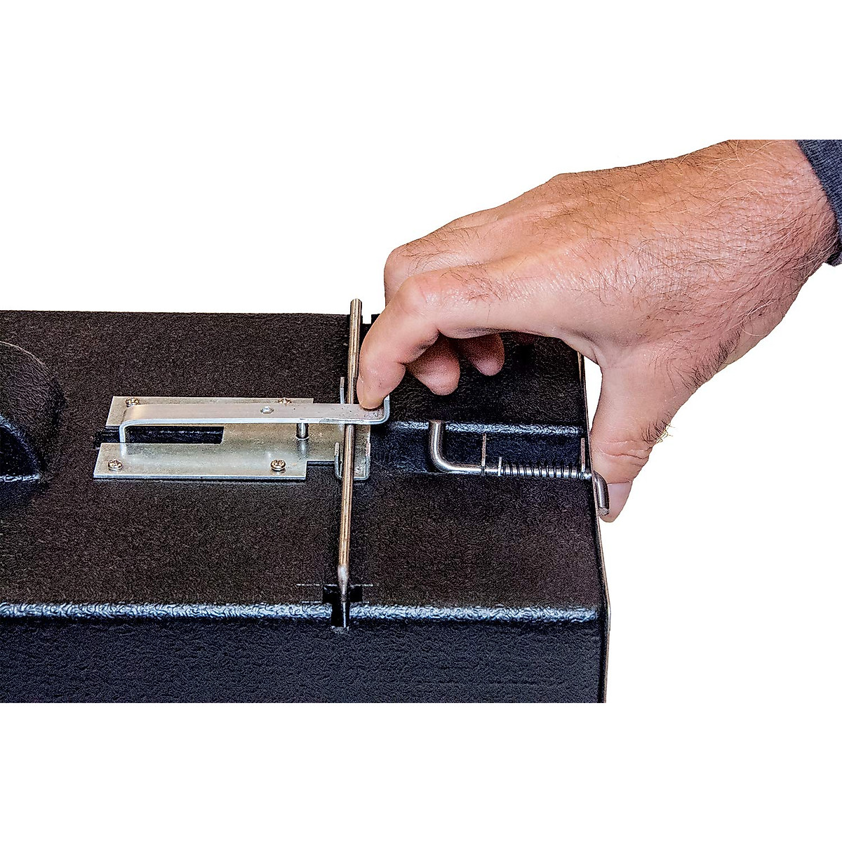 JT Eaton Answer® Skunk & Medium Pest Live Trap, Dark Interior, Easy Capture Trigger, Easy Release Door