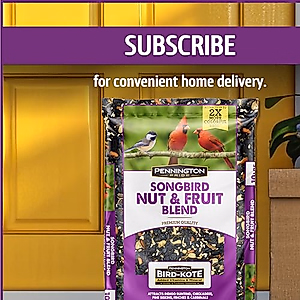 Pennington Pride Songbird Nut & Fruit Blend, Wild Bird Seed for Outside Feeders, Advanced Nutrition Formula for Bird Health, 10-lb. Bag